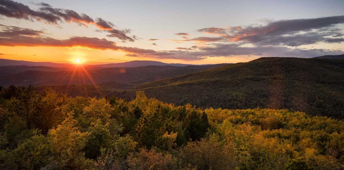 Park prirode Papuk – geopark nastao iz dubina Panonskog mora