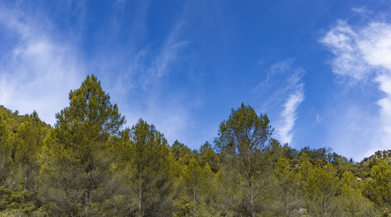 10 najčešćih oblaka i kako po njima predvidjeti vrijeme