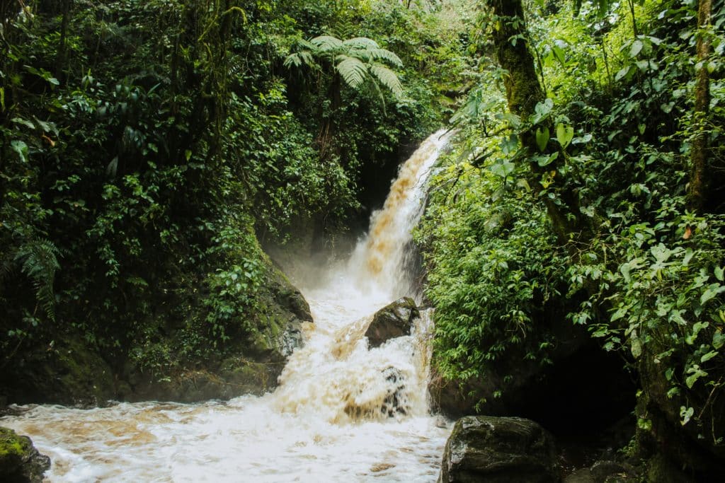 Kruženje vode u prirodi (10 fascinantnih činjenica)