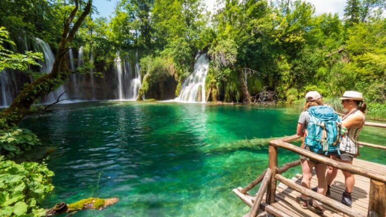 Sivi puh – veliki spavač i još veći gurman - zastita-prirode.hr