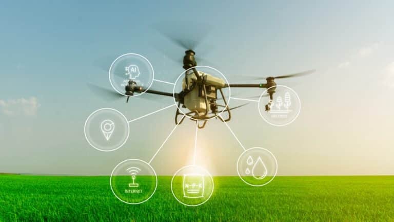 Hrvatski macaklin – mali noćni lovac - zastita-prirode.hr